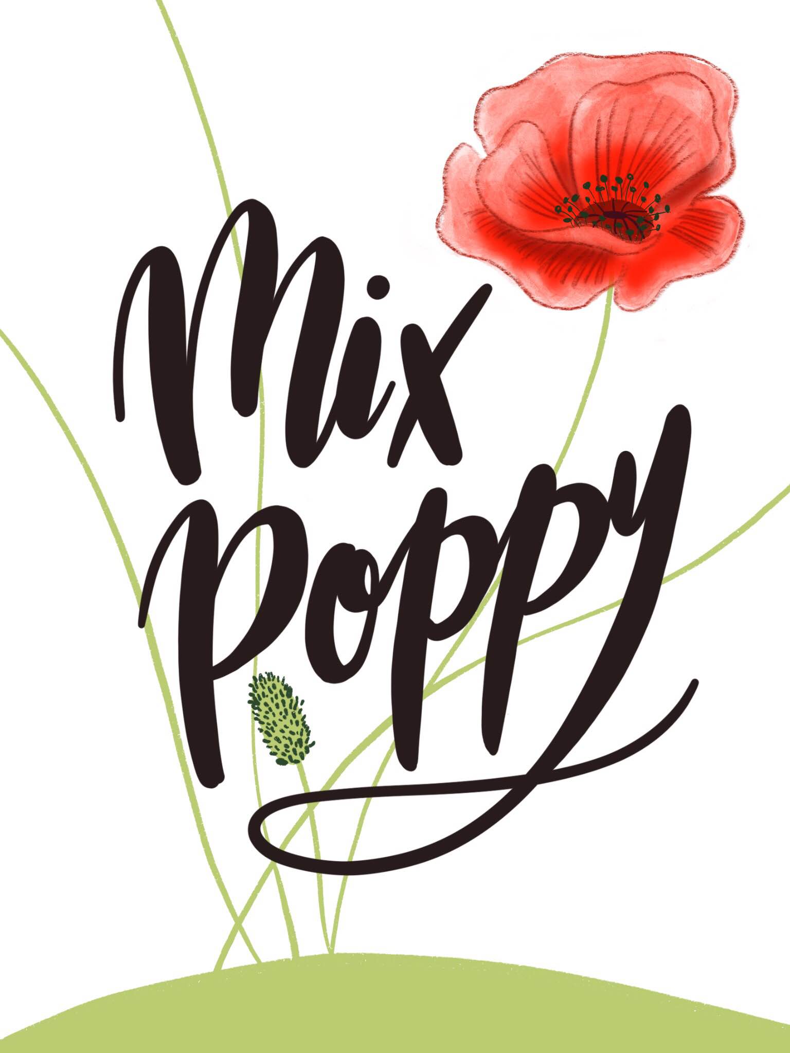 Mix Fonts - Procreate Brushes